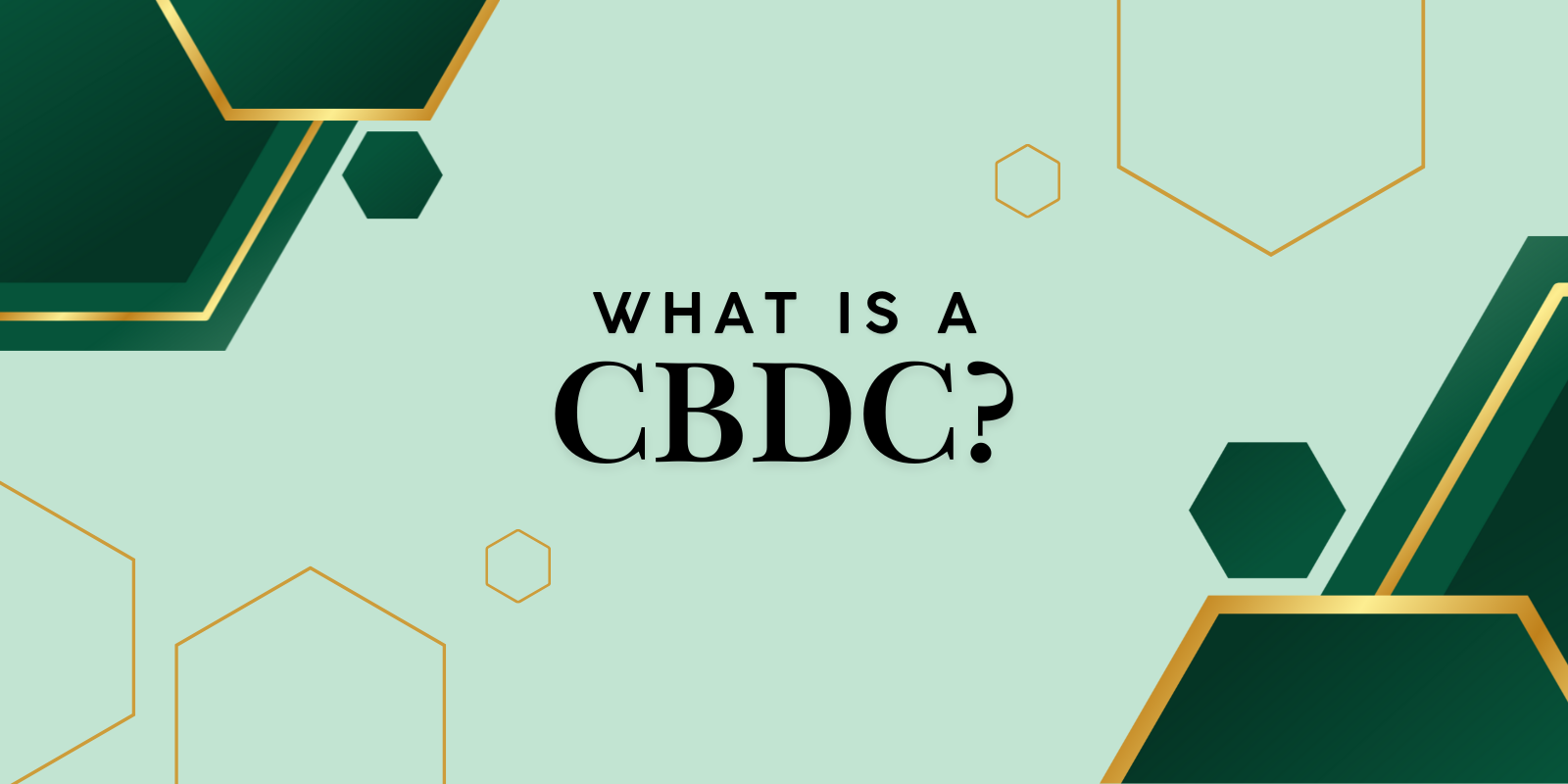 What Is a Central Bank Digital Currency (CBDC)? - sdiraguide.com