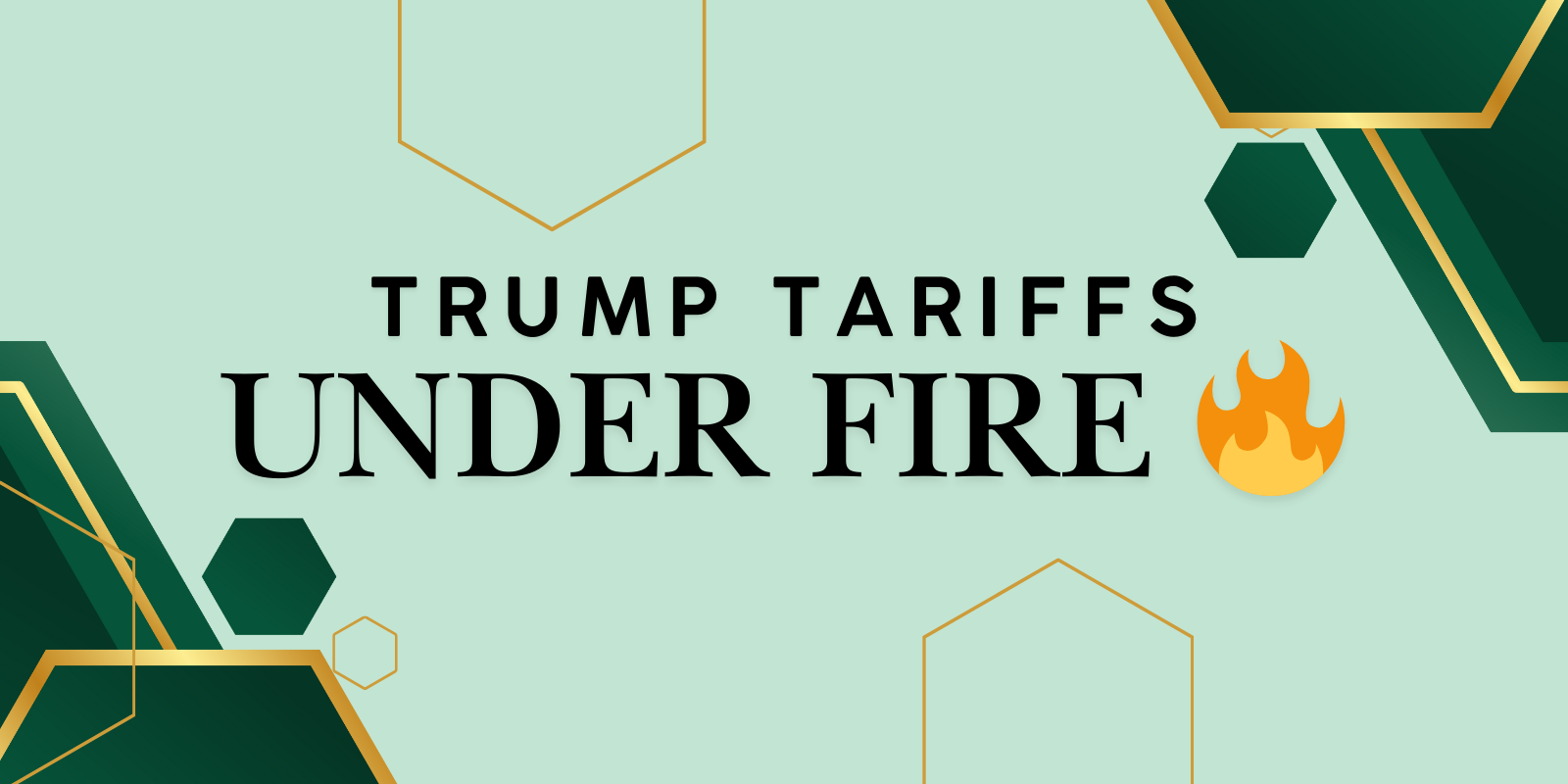 Trump’s Tariffs Under Fire: Elites Panic as America Fights Back ...